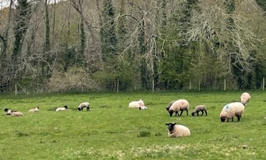 Welcome to Teign School