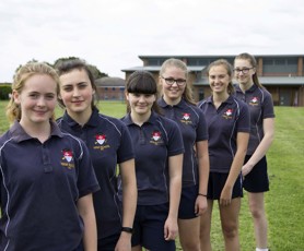 Welcome to Teign School